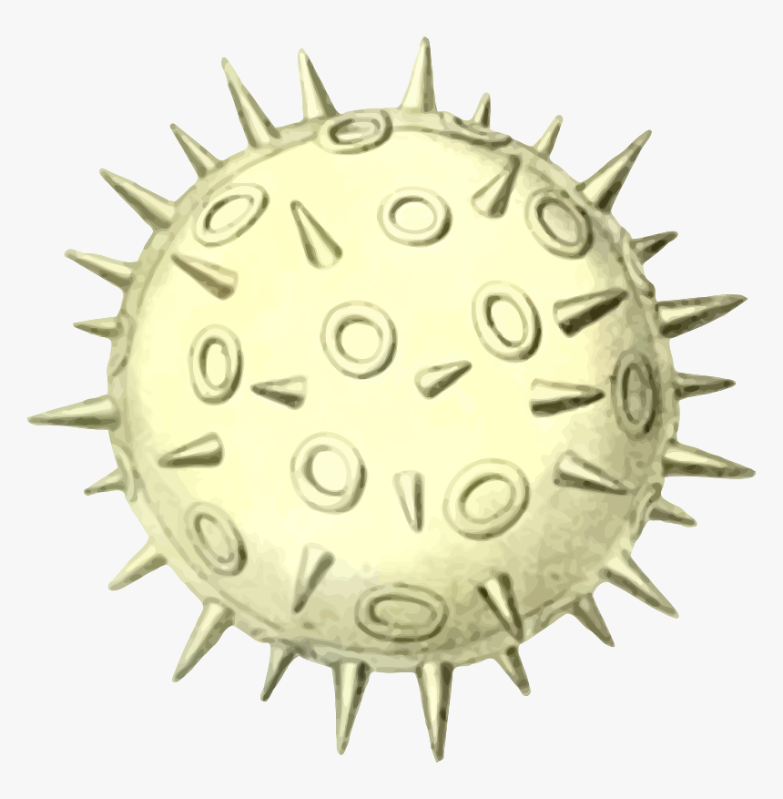 Circle,organism,pollen - Spore Clipart, HD Png Download , Transparent ...