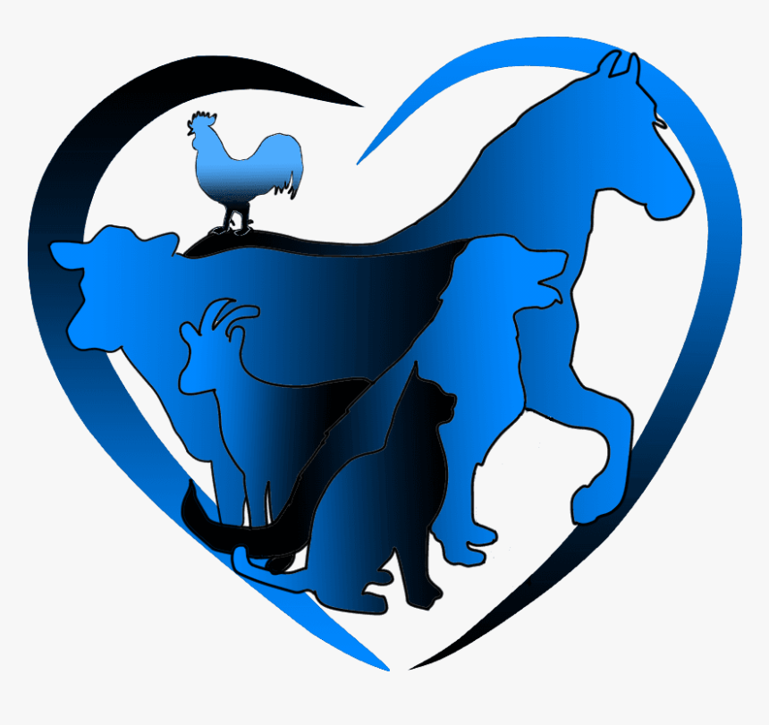 Caring For Animals Clipart