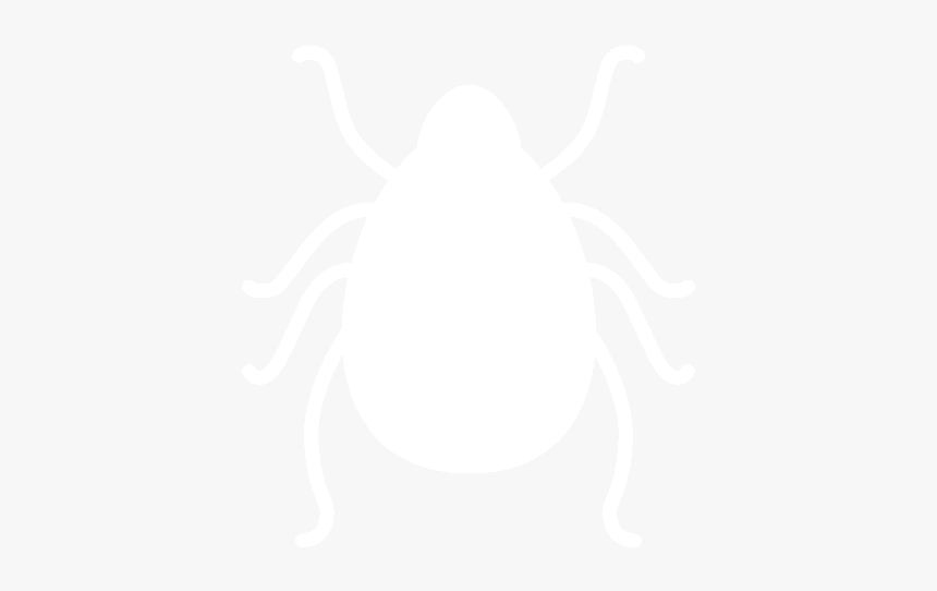 Weevil, HD Png Download , Transparent Png Image - PNGitem
