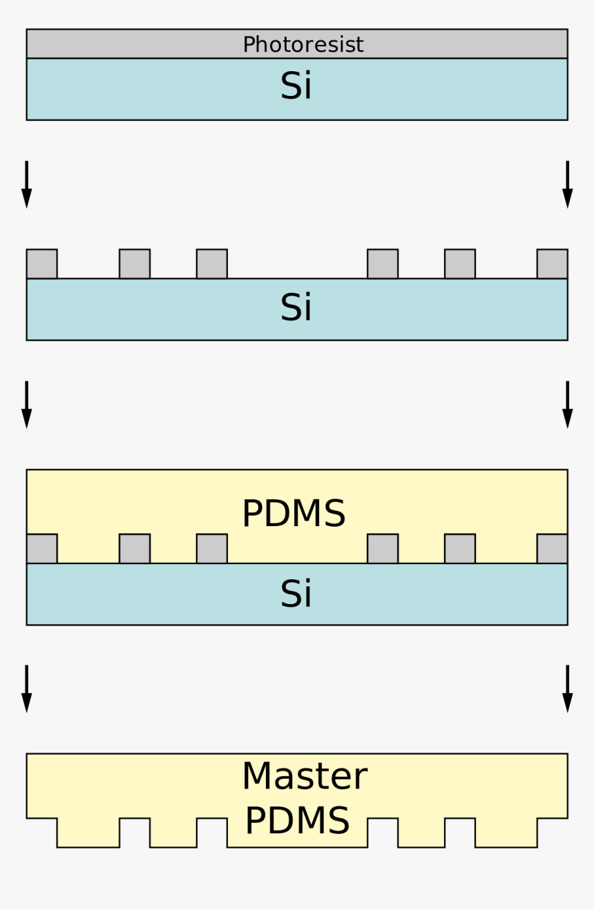Soft Lithography Microcontact Printing, HD Png Download , Transparent ...