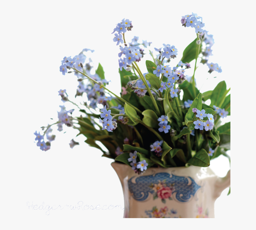 Forget Me Not Png Pic - Forget Me Not .png, Transparent Png ...