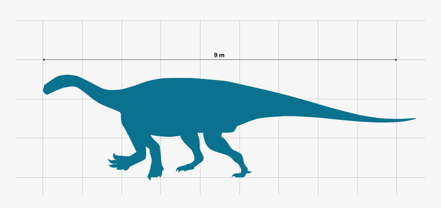 Ledumahadi Scale Chart Wip 2 - Ledumahadi Mafube, HD Png Download ...