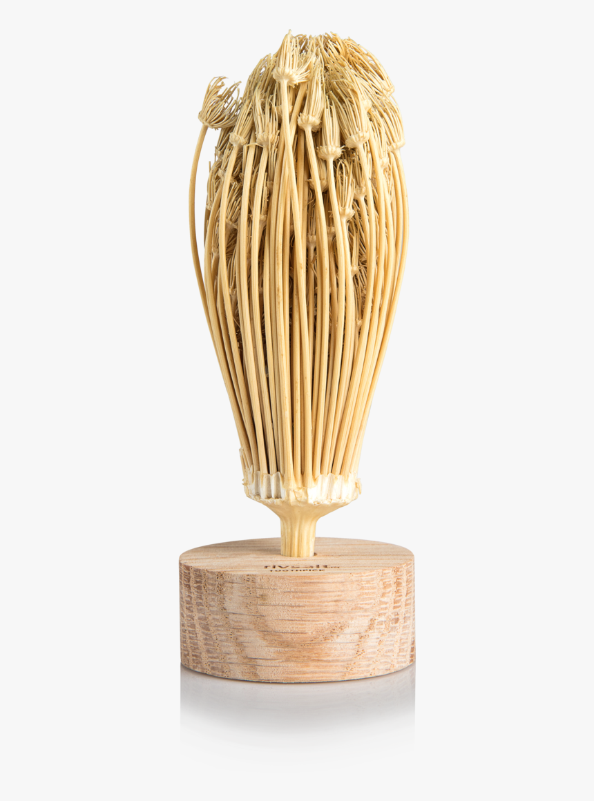 Toothpick Flower, HD Png Download , Transparent Png Image - PNGitem