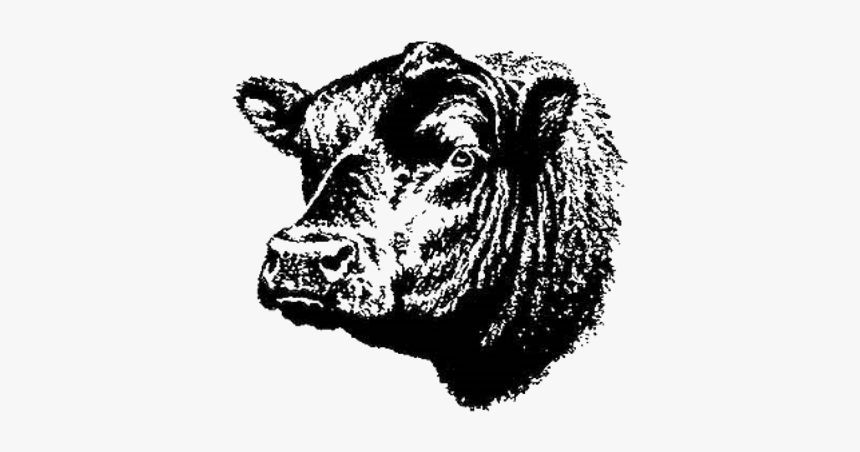 Angus Bull Head Transparent, HD Png Download , Transparent Png Image ...