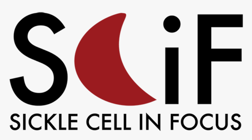Sickle Cell In Focus - Graphic Design, HD Png Download , Transparent ...