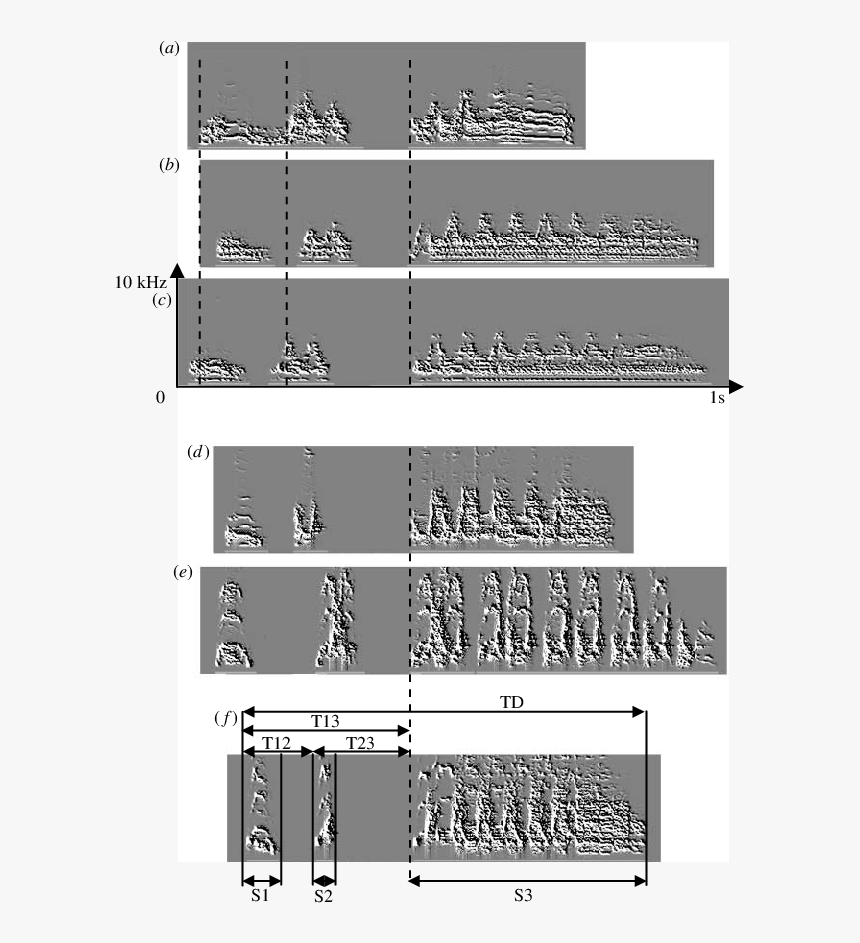 Diagram, HD Png Download , Transparent Png Image - PNGitem