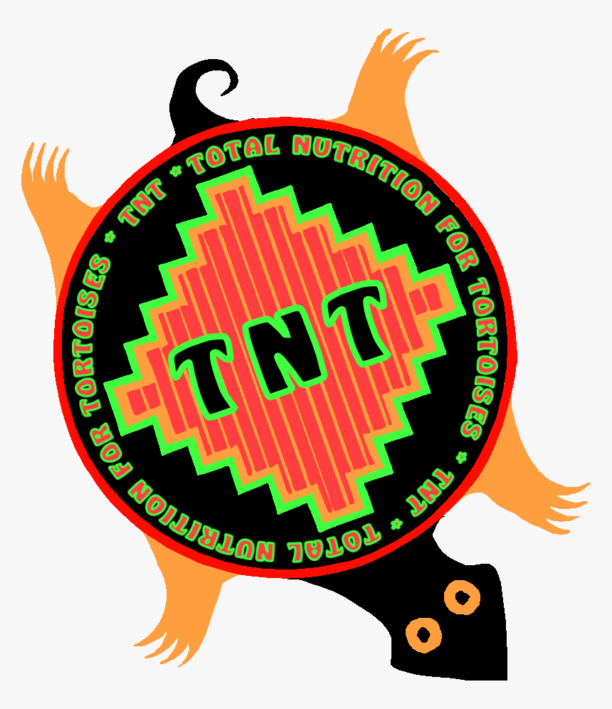 Tnt Tortoise, HD Png Download , Transparent Png Image - PNGitem