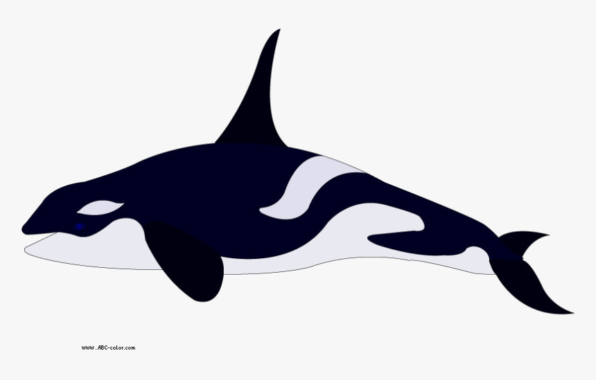 Shamu Coloring Pages