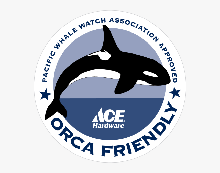 Ace Hardware, HD Png Download , Transparent Png Image - PNGitem