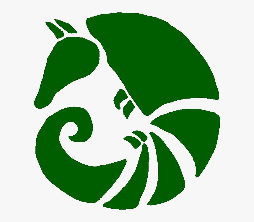 Armadillo Logo Png, Transparent Png , Transparent Png Image - PNGitem