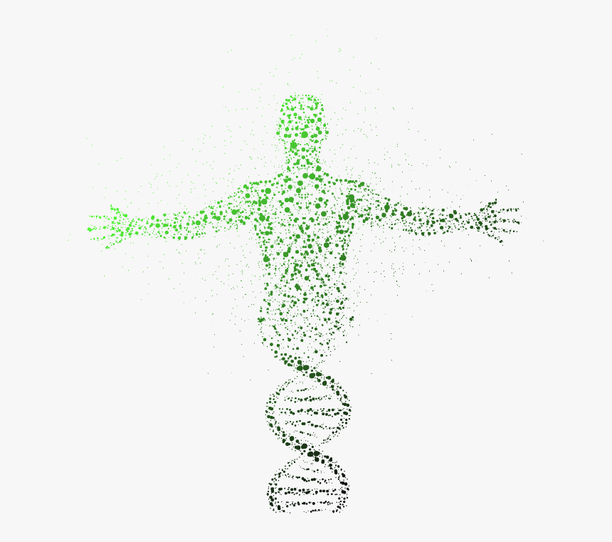 Molecular Structure Of Human Body, HD Png Download , Transparent Png ...