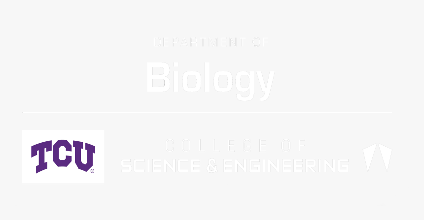 Tcu Department Of Science & Engineering - Tcu Biology Department, HD ...