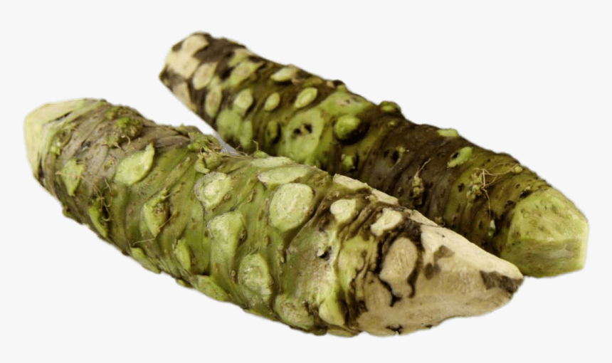 Fresh Wasabi Root Sticks - Wasabi Root, HD Png Download , Transparent ...