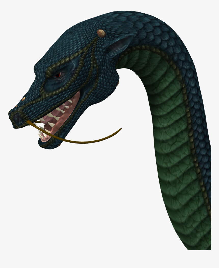 Dragon Head Png, Transparent Png , Transparent Png Image - PNGitem