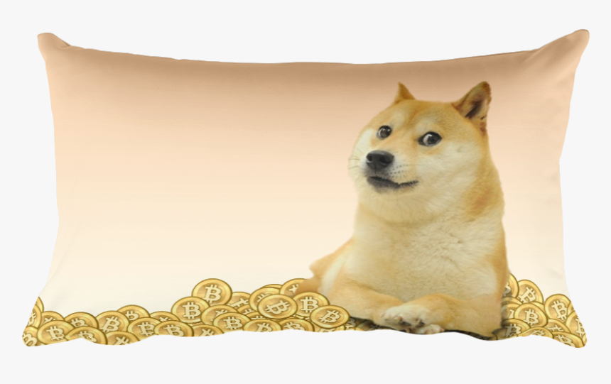 Doge.png, Transparent Png , Transparent Png Image - PNGitem