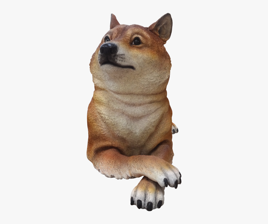 Doge.png, Transparent Png , Transparent Png Image - PNGitem