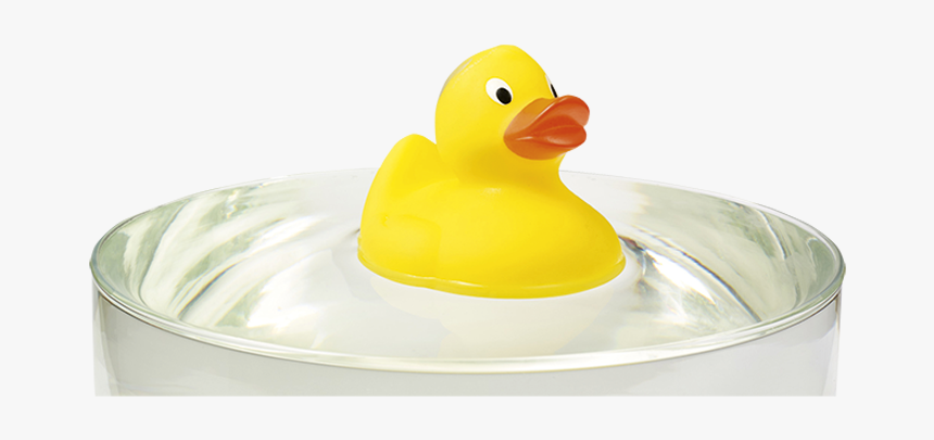 Rubber Ducky Png, Transparent Png , Transparent Png Image - PNGitem