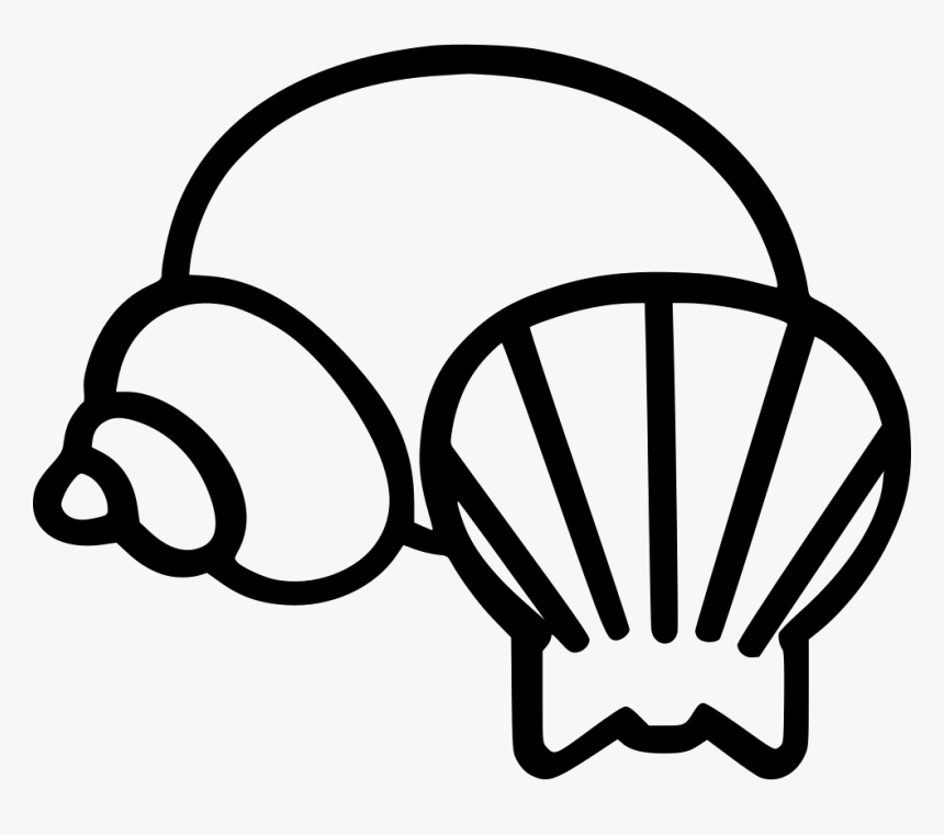 Shell, HD Png Download , Transparent Png Image - PNGitem