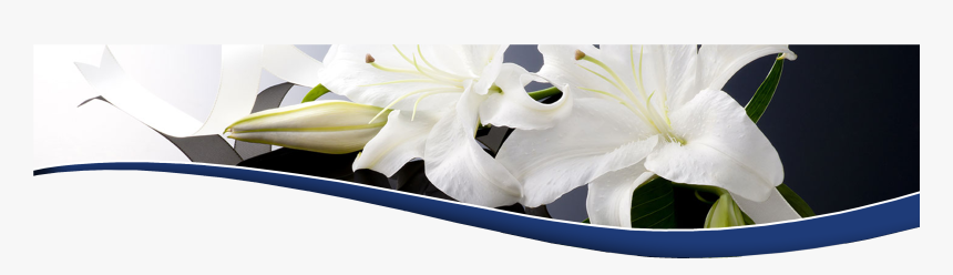 Transparent Funeral Png, Png Download , Transparent Png Image - PNGitem