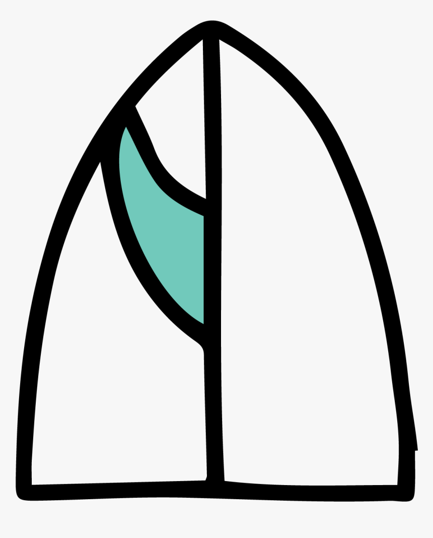 Fin Png, Transparent Png , Transparent Png Image - PNGitem
