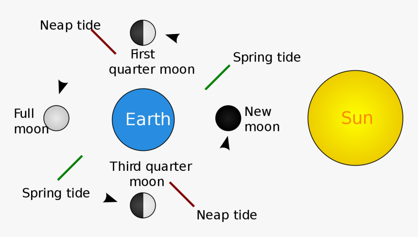 Tide Png, Transparent Png , Transparent Png Image - PNGitem