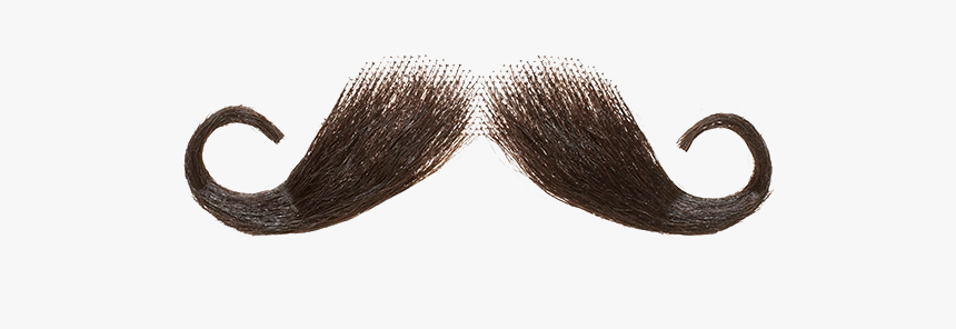 Moustache Transparent Images - Handlebar Mustache Transparent Png, Png ...