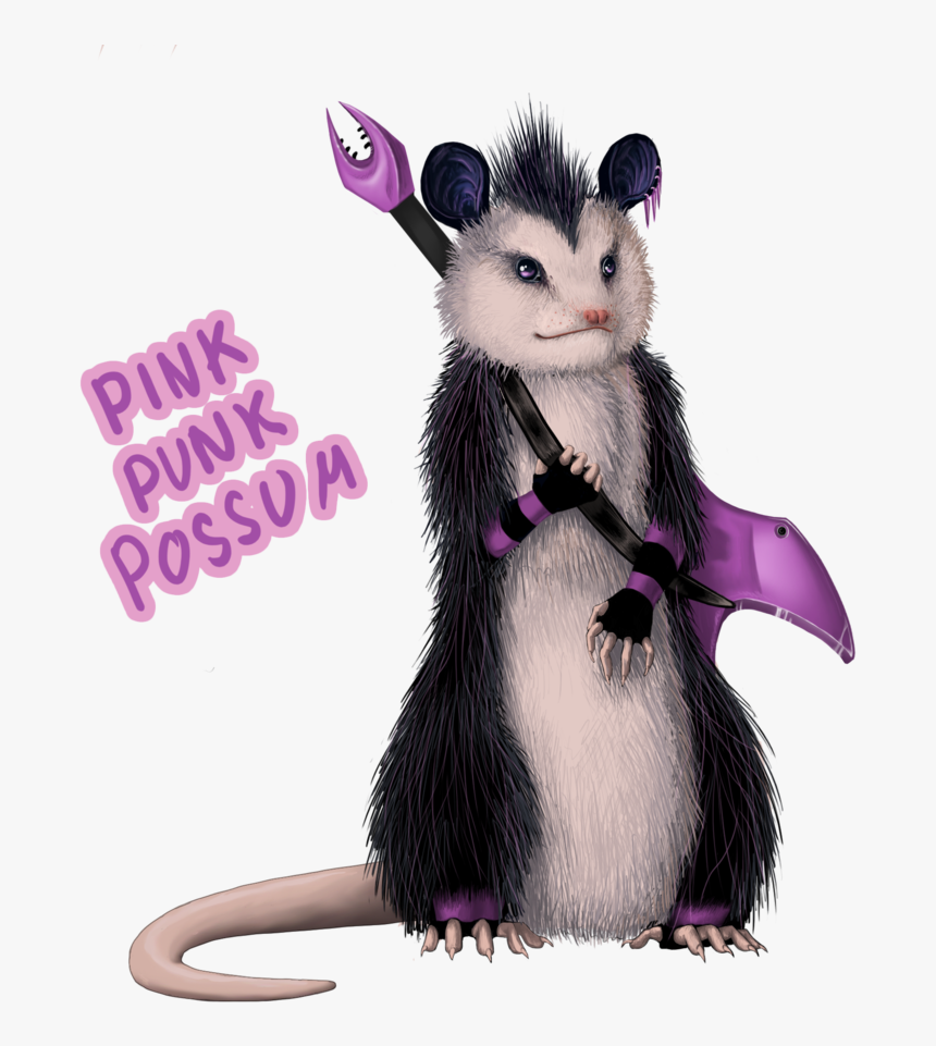 Possum Png, Transparent Png , Transparent Png Image - PNGitem