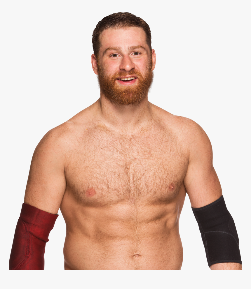 Clip Art Sami Zayn Wwe Nxt - Sami Zayn Png, Transparent Png , Transparent Png Image - PNGitem