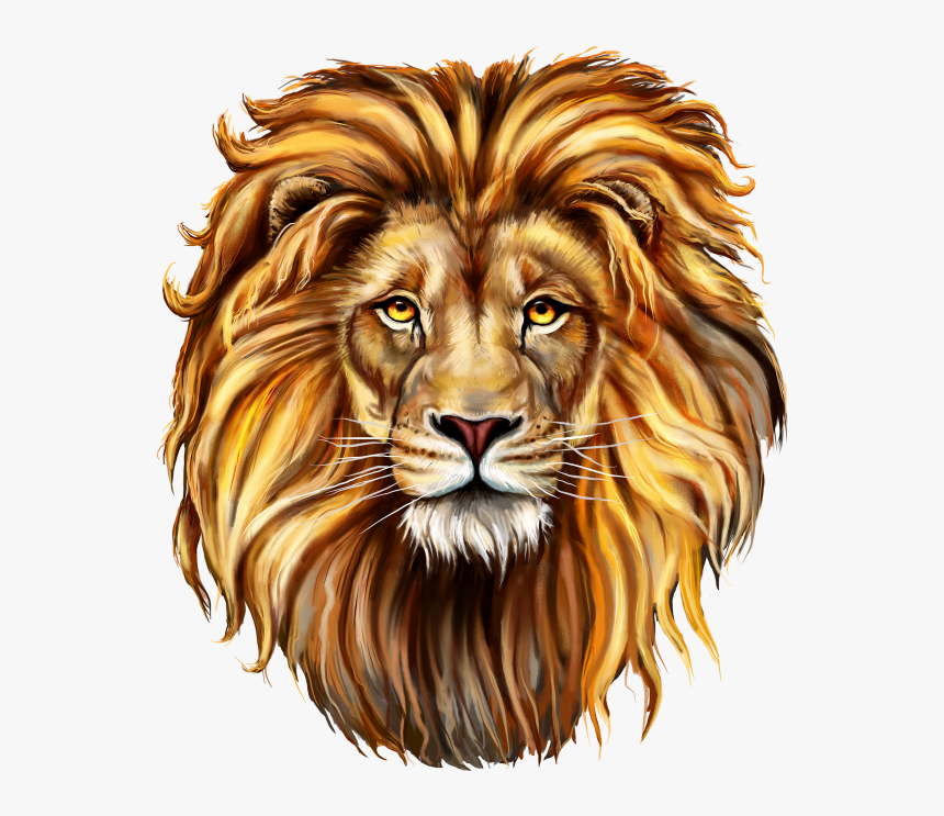 Real Lion Clipart Images