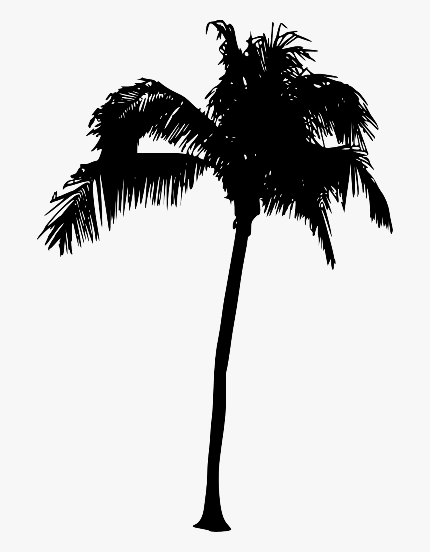Palm Tree Vector Png, Transparent Png , Transparent Png Image - PNGitem