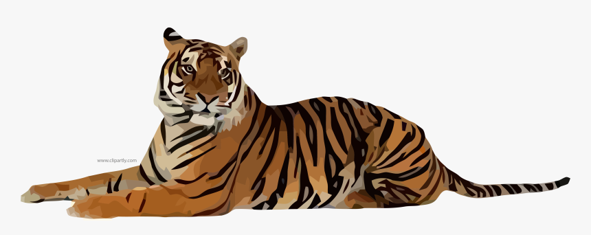 Sitting Lion Png Pic - Tiger Png, Transparent Png , Transparent Png ...