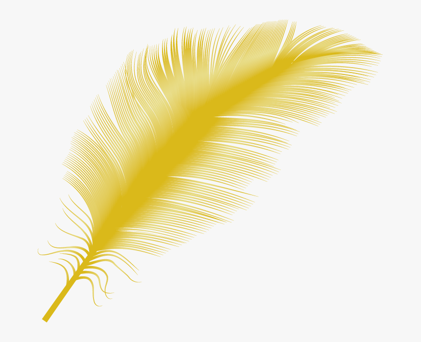 Yellow Feather Close-up - Transparent Yellow Feather Png, Png Download ...