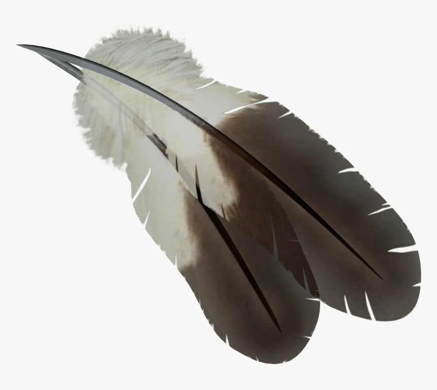 Bird Feather Hd Png, Transparent Png , Transparent Png Image - PNGitem