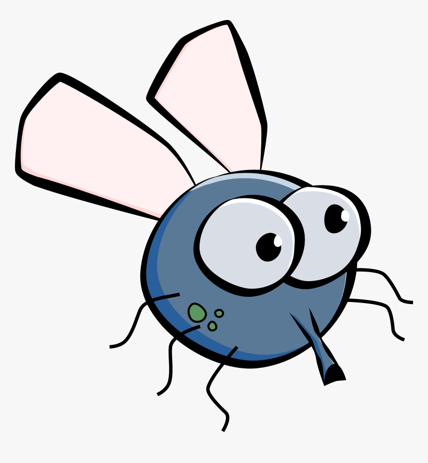 Fly Cartoon No Background, HD Png Download , Transparent Png Image ...