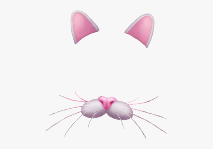 Snapchat Filters Free Download Png - Snapchat Cat Filter Png ...