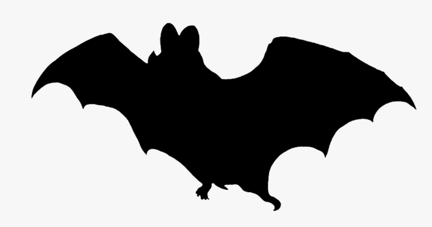 Vampire Bat Silhouette - Bat White Background Png, Transparent Png ...