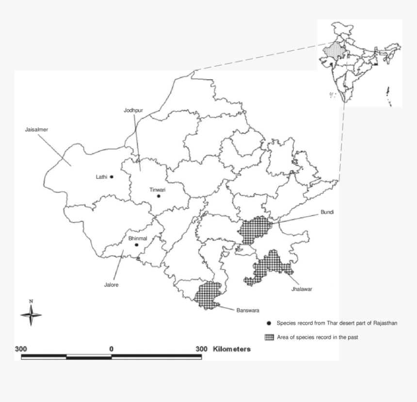 Transparent Fruit Bat Png - Map, Png Download , Transparent Png Image ...