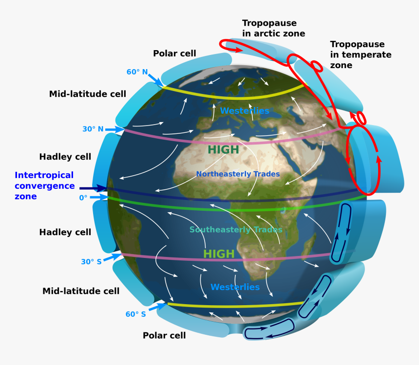 Hadley Cell, HD Png Download , Transparent Png Image - PNGitem