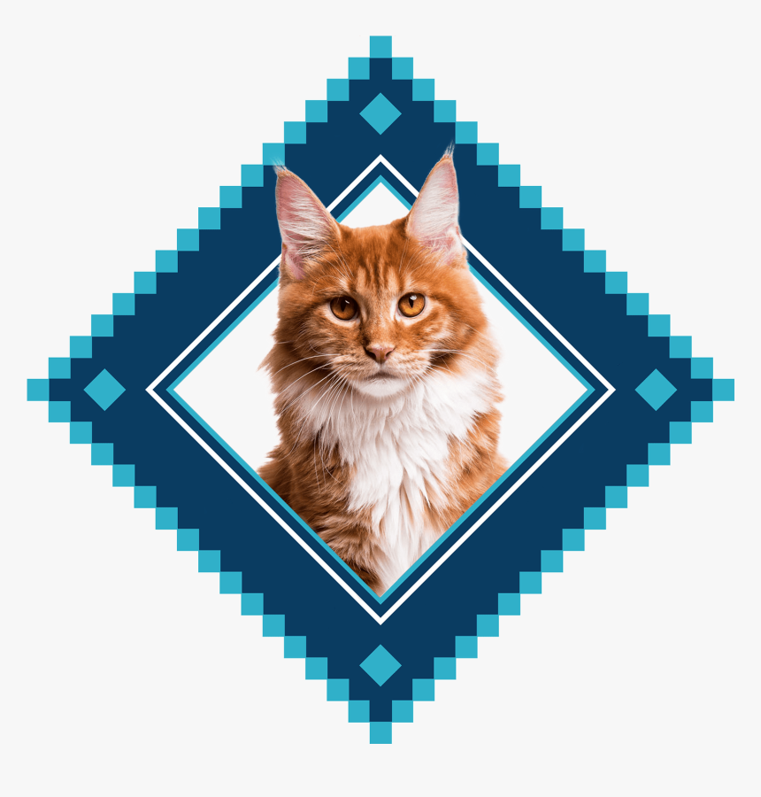 Placeholder Image, HD Png Download , Transparent Png Image - PNGitem