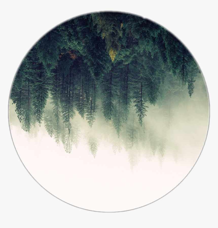 Forest Clipart Forrest - Forest Circle Png, Transparent Png ...