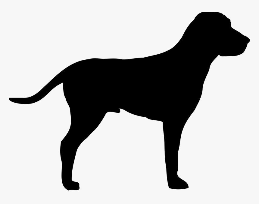 Pointer, Dog, Doggy, Outline, Animal, Coat, Shape - Transparent Dogs ...