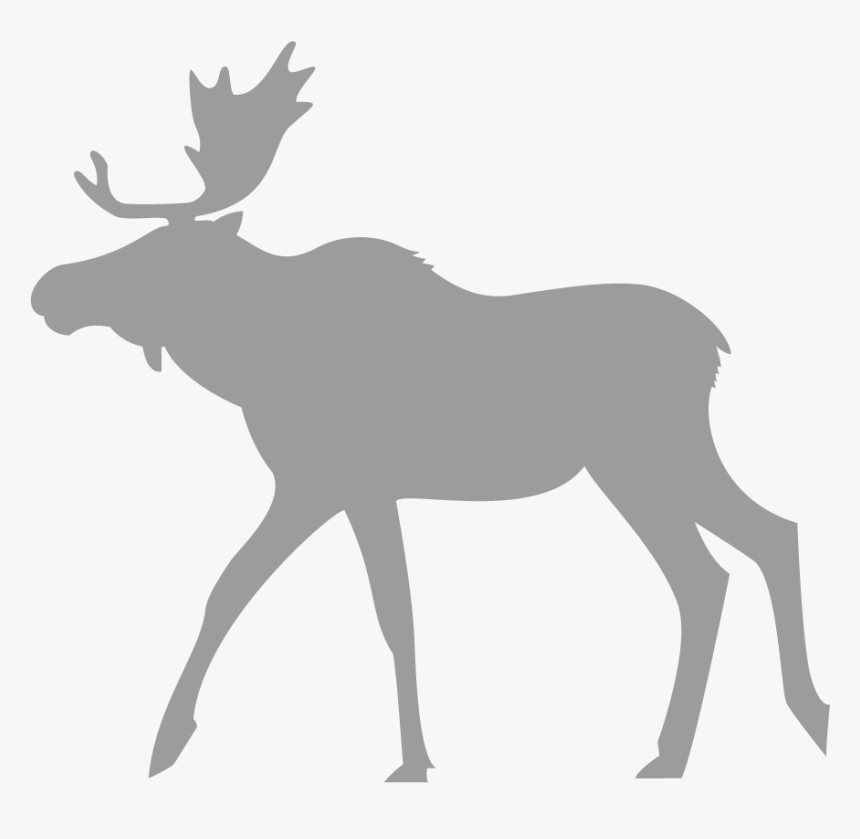 Moose To Trace, HD Png Download , Transparent Png Image - PNGitem