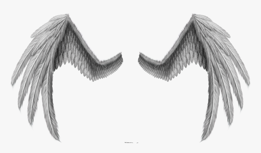 Angel Wings Side Profile Set Of 4 Gold Dresden Wings - Wings For ...