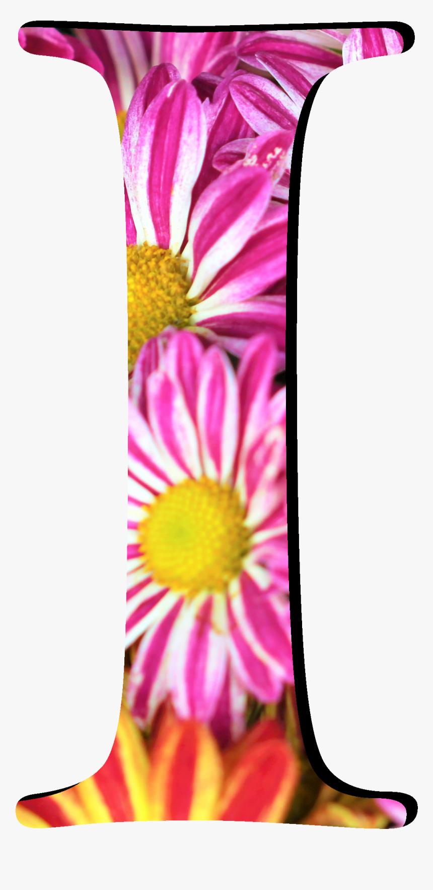 Flower Pattern Letters I - Vase, HD Png Download , Transparent Png ...