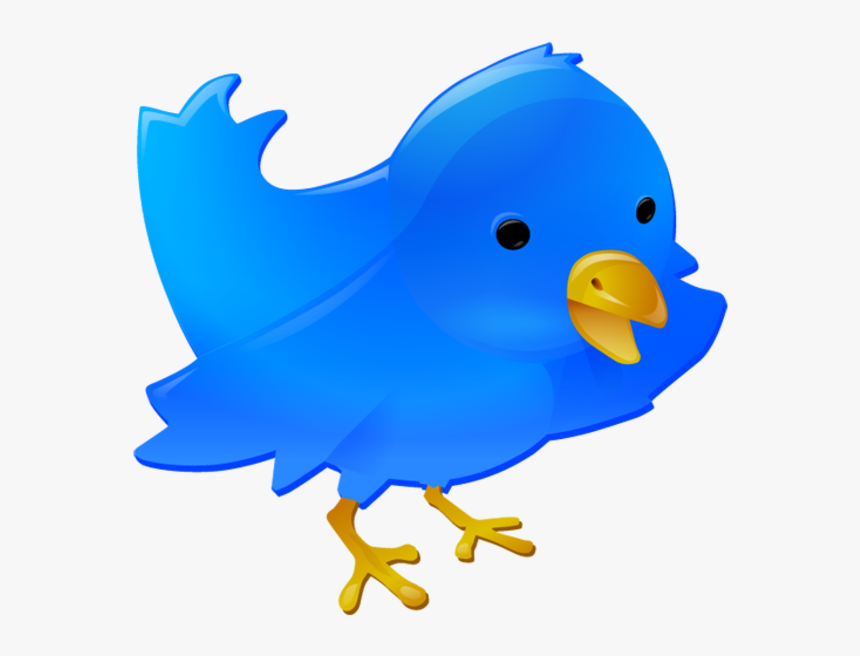 Twitter Bird Free Images At Clker Com Vector Clip Art - Blue Twitter ...