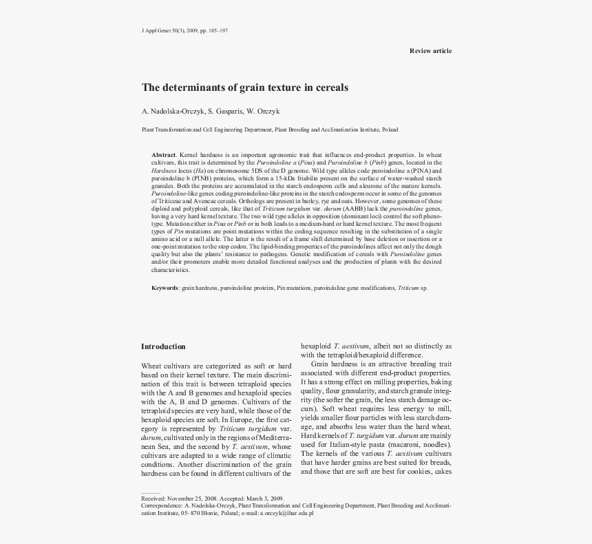 Essay, HD Png Download , Transparent Png Image - PNGitem