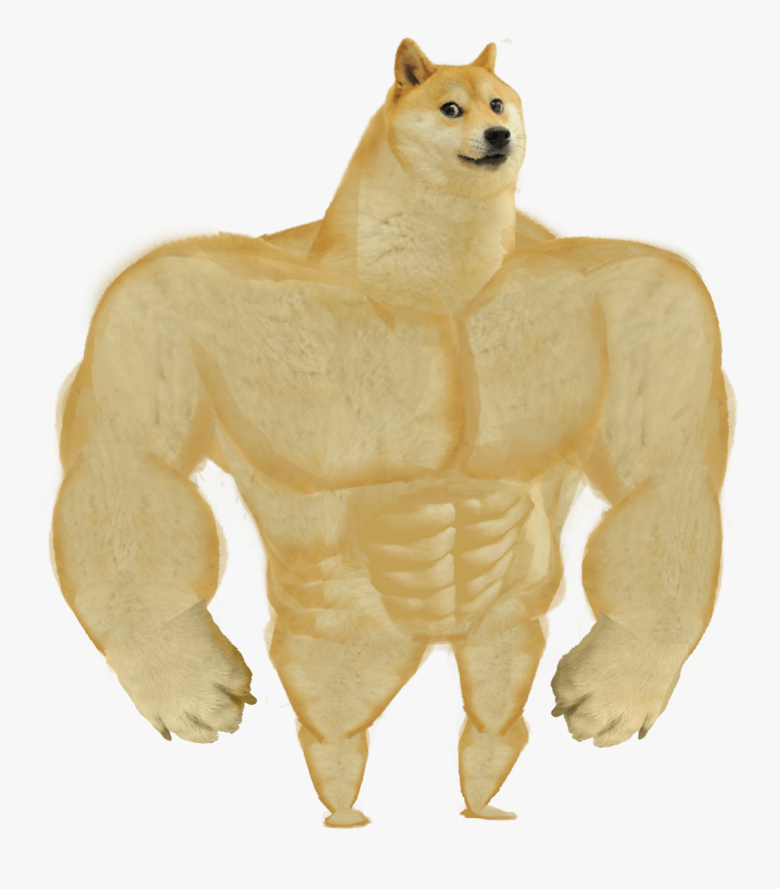 Buff Doge HD Png Download Transparent Png Image PNGitem