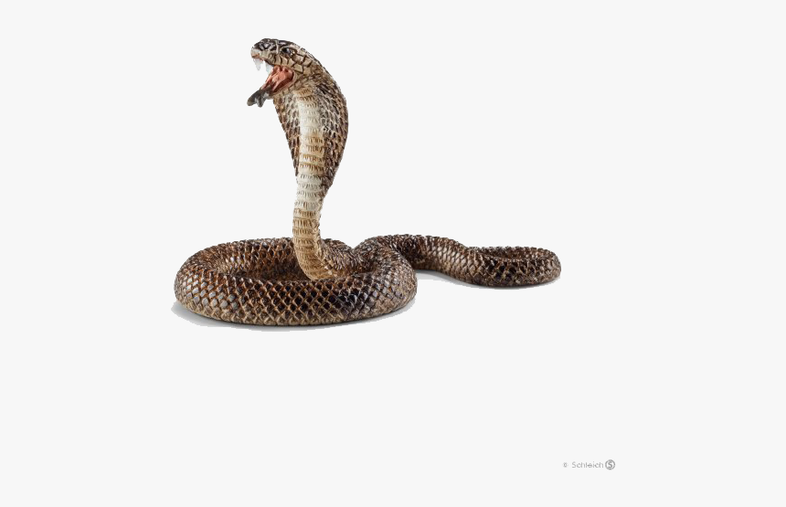 America Cobra, HD Png Download , Transparent Png Image - PNGitem