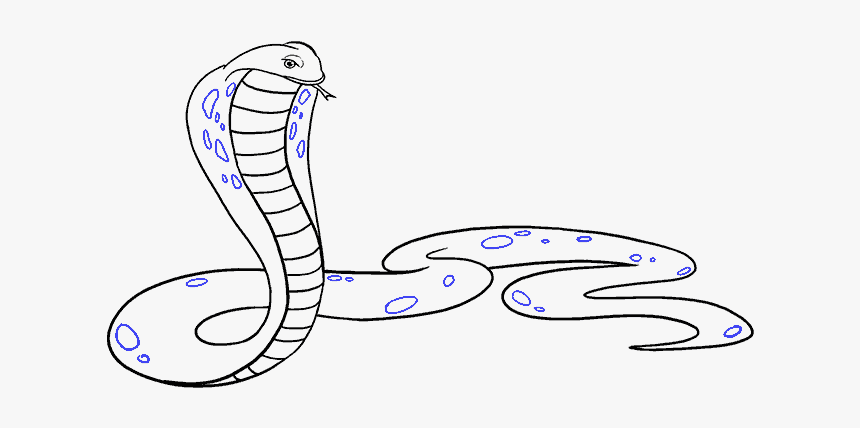 How To Draw Cobra - Draw A Cobra Snake, HD Png Download , Transparent ...