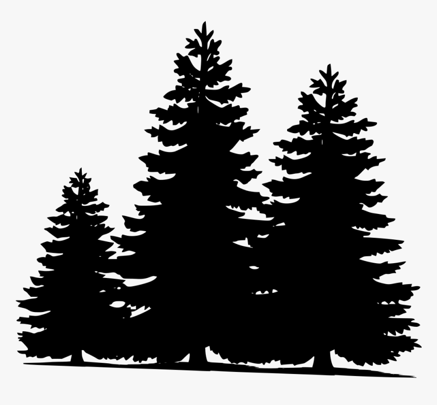 Pine Trees Forest Silhouette